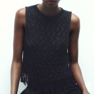 Zara | Tops | Zara Metallic Thread Knit Fringed Top S New | Poshmark